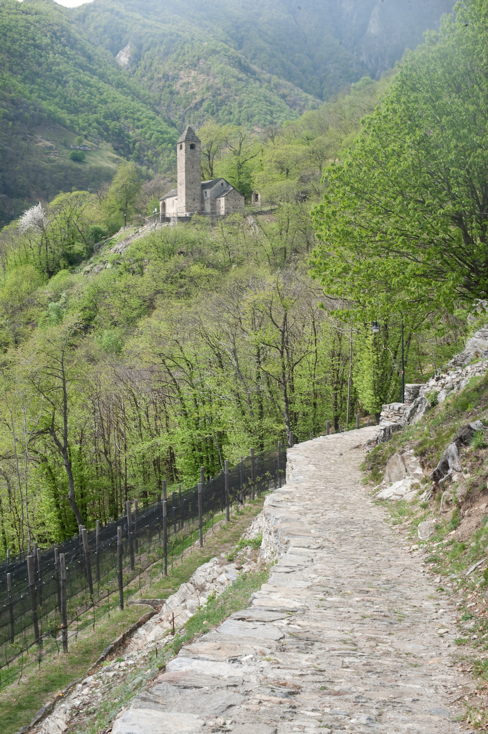 5 escursioni in Ticino… per scaldare le gambe! – gioia ad alta quota